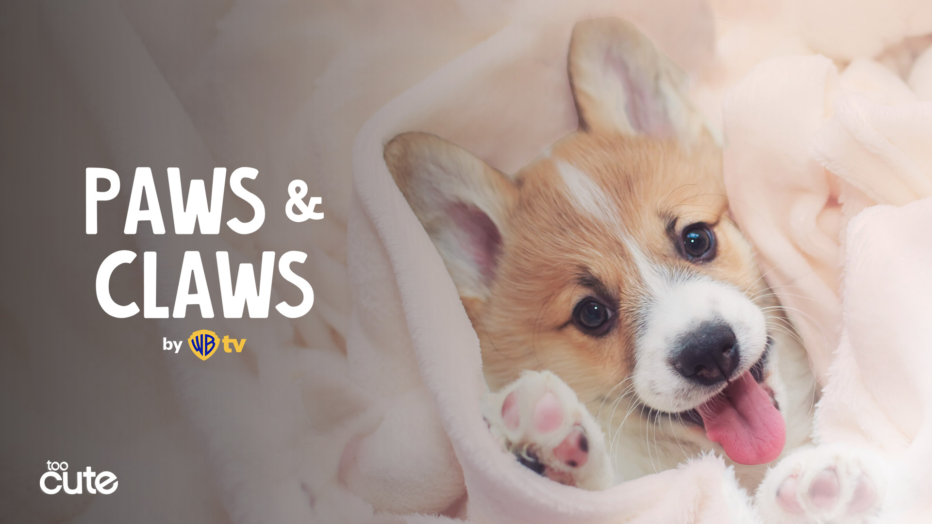 Paws & Claws - Watch Paws & Claws Free Online - Plex