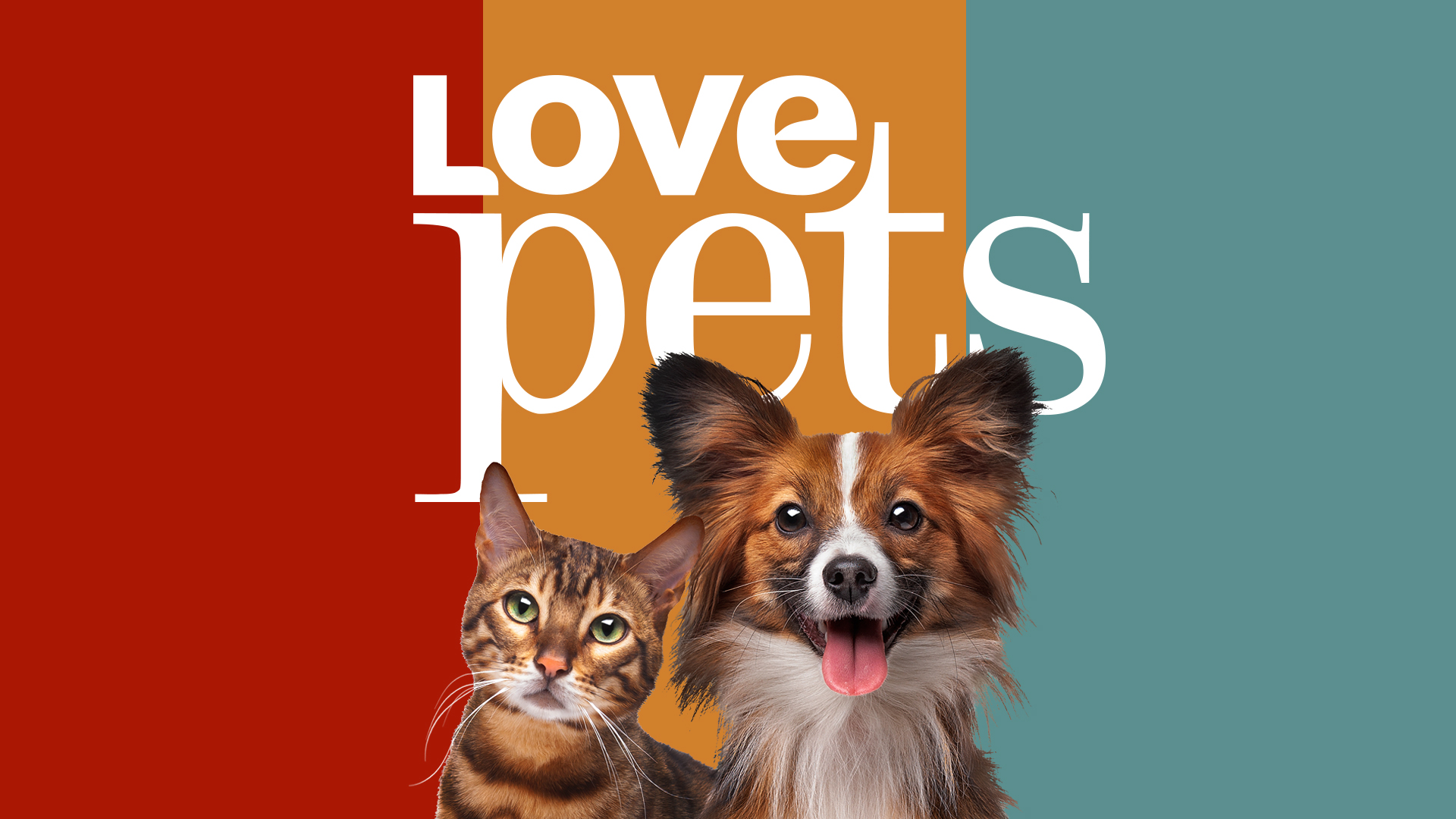 Love Pets - Watch Love Pets Free Online - Plex