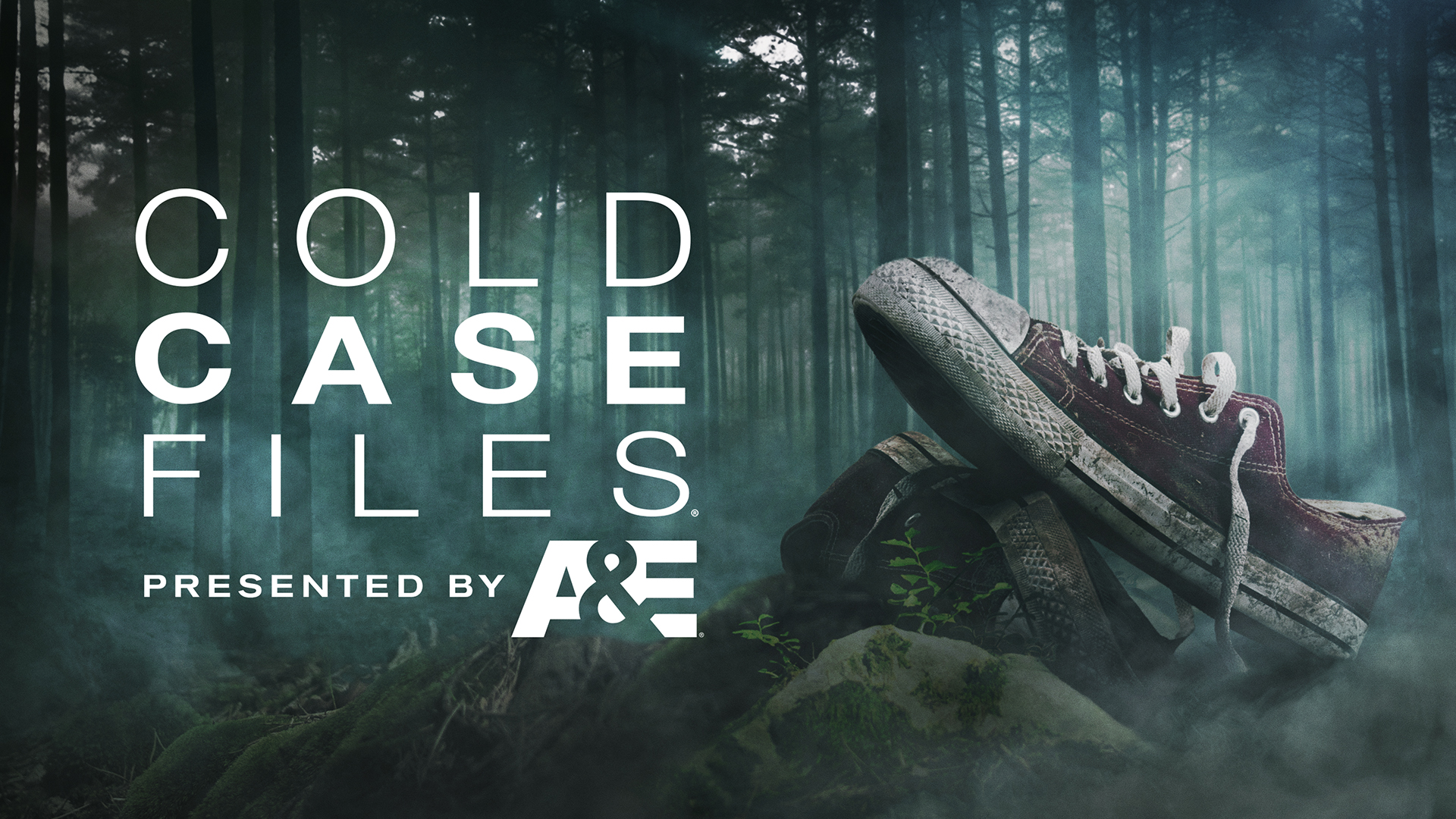 Cold Case Files by A&E - Watch Cold Case Files by A&E Free Online - Plex