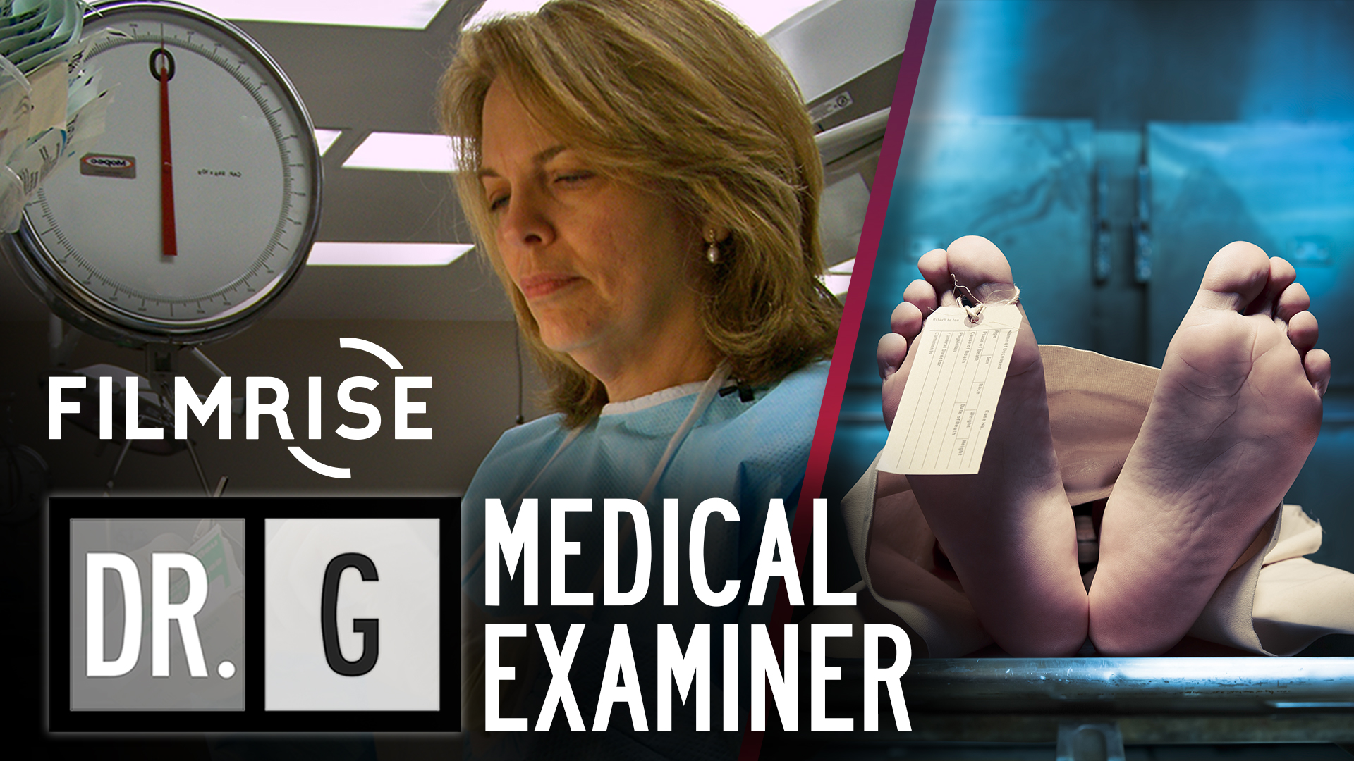 Dr. G: Medical Examiner - Watch Dr. G: Medical Examiner Free Online - Plex